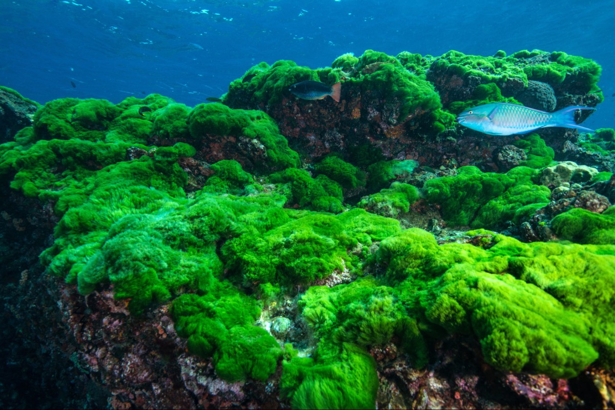 Што се климатски промени? + Причини и последици